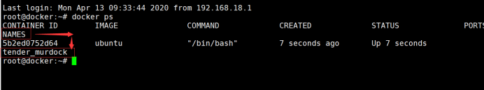 Docker构建镜像的两种方式:docker Commit与dockerfile创建 使 Docker Commit构建镜像 Csdn博客