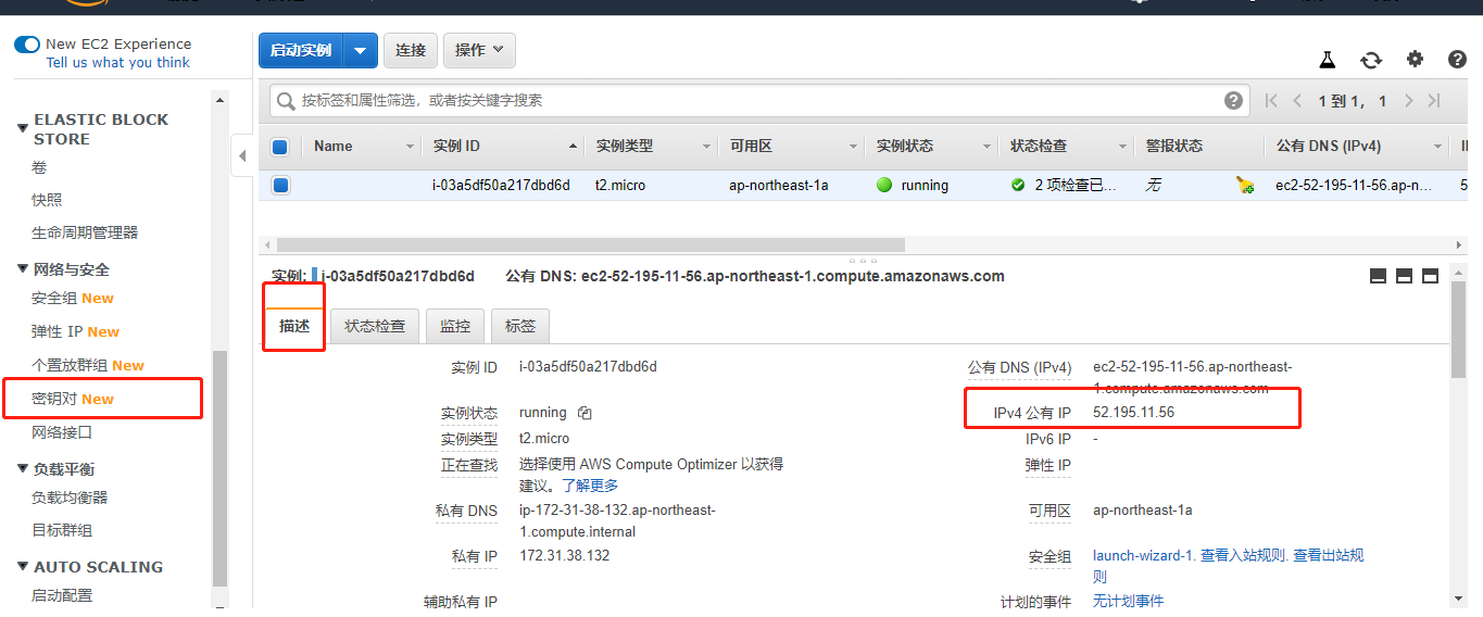 关于在 AWS 上申请使用ec2服务以及xshell登录_东方鲤鱼的博客-CSDN博客_aws ec2 xshell
