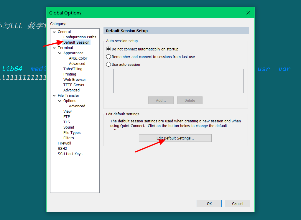 secureCRT优化设置_securecrt emulation-CSDN博客