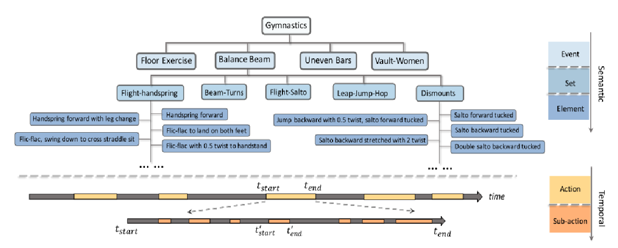 【论文笔记】FineGym: A Hierarchical Video Dataset for Fine-grained Action Understanding（CVPR2020满分论文 ...