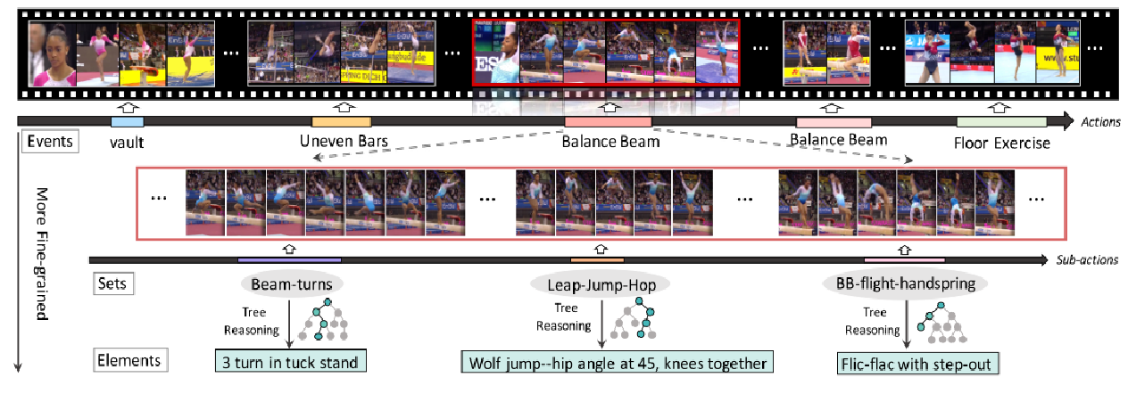 【论文笔记】FineGym: A Hierarchical Video Dataset for Fine-grained Action Understanding（CVPR2020满分论文 ...