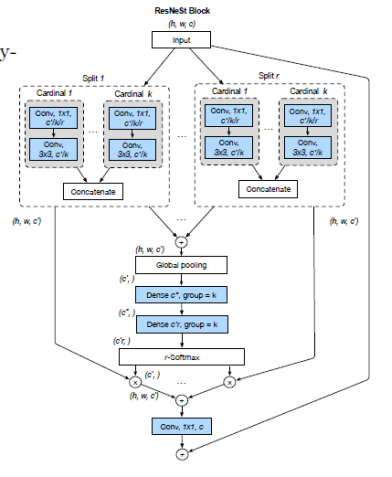 ResNeSt的代码阅读（pytorch版本）ResNeSt Split-Attention Networks_resnest pytorch-CSDN博客