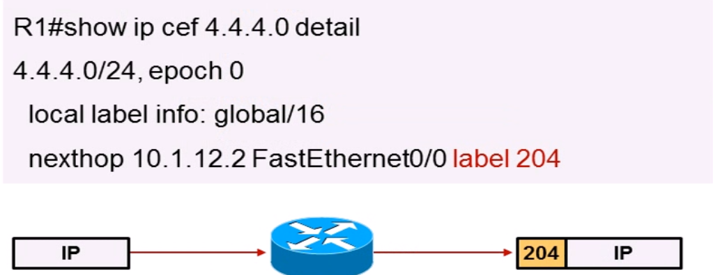 MPLS概述_mpls 8847-CSDN博客