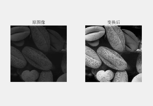 Matlab图像处理 同态滤波（代码及示例）同态滤波matlab代码 Csdn博客 