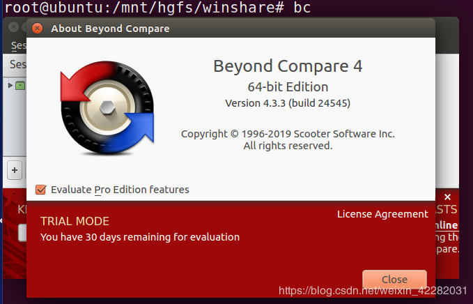 Linux下安装beyond compare 4.x.x_beyondcompare linux-CSDN博客