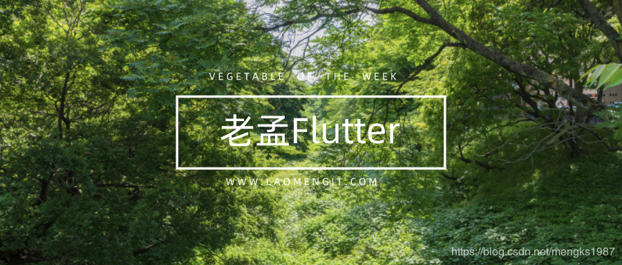 Flutter 分页功能表格控件flutter Paginateddatatable Csdn博客