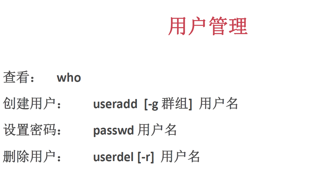 asp.mvc basics - Programmer Sought