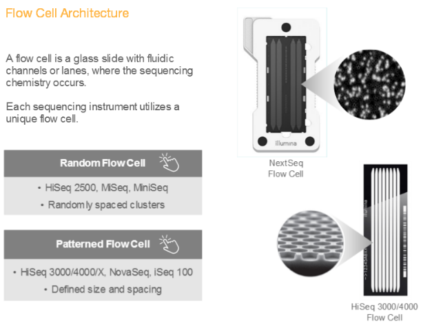 NGS测序基础梳理02-簇生成（Cluster Generation）及flow cell介绍_qq_21478261的博客-CSDN博客_测 ...