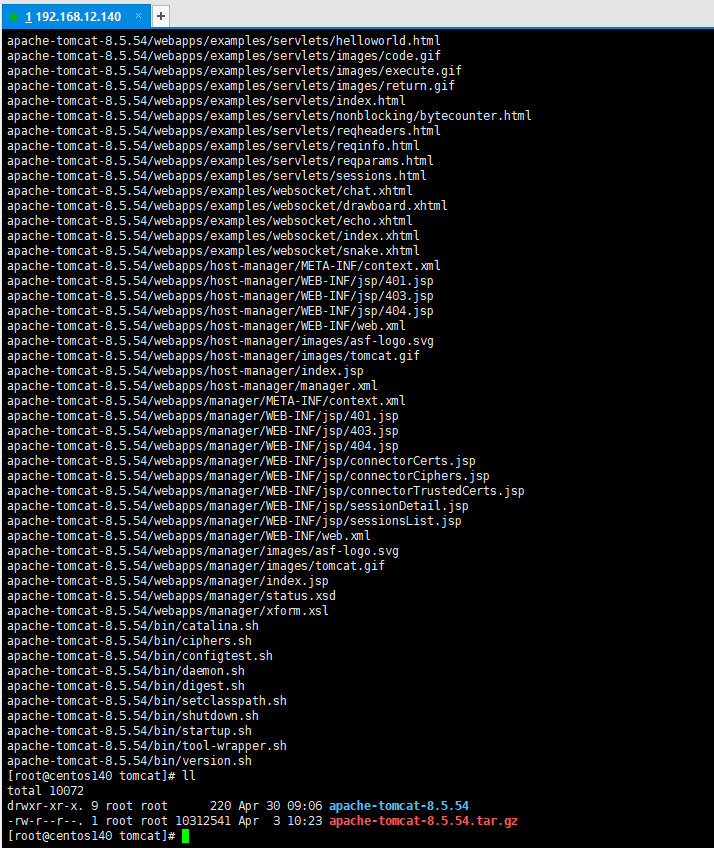 CentOS7安装Tomcat8.5.54_apache-tomcat-8.5.54.tar.gz-CSDN博客