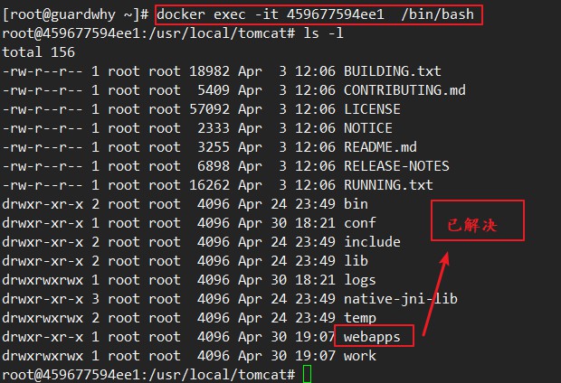 Docker安装Tomcat无法访问_webapps.dist 目录-CSDN博客