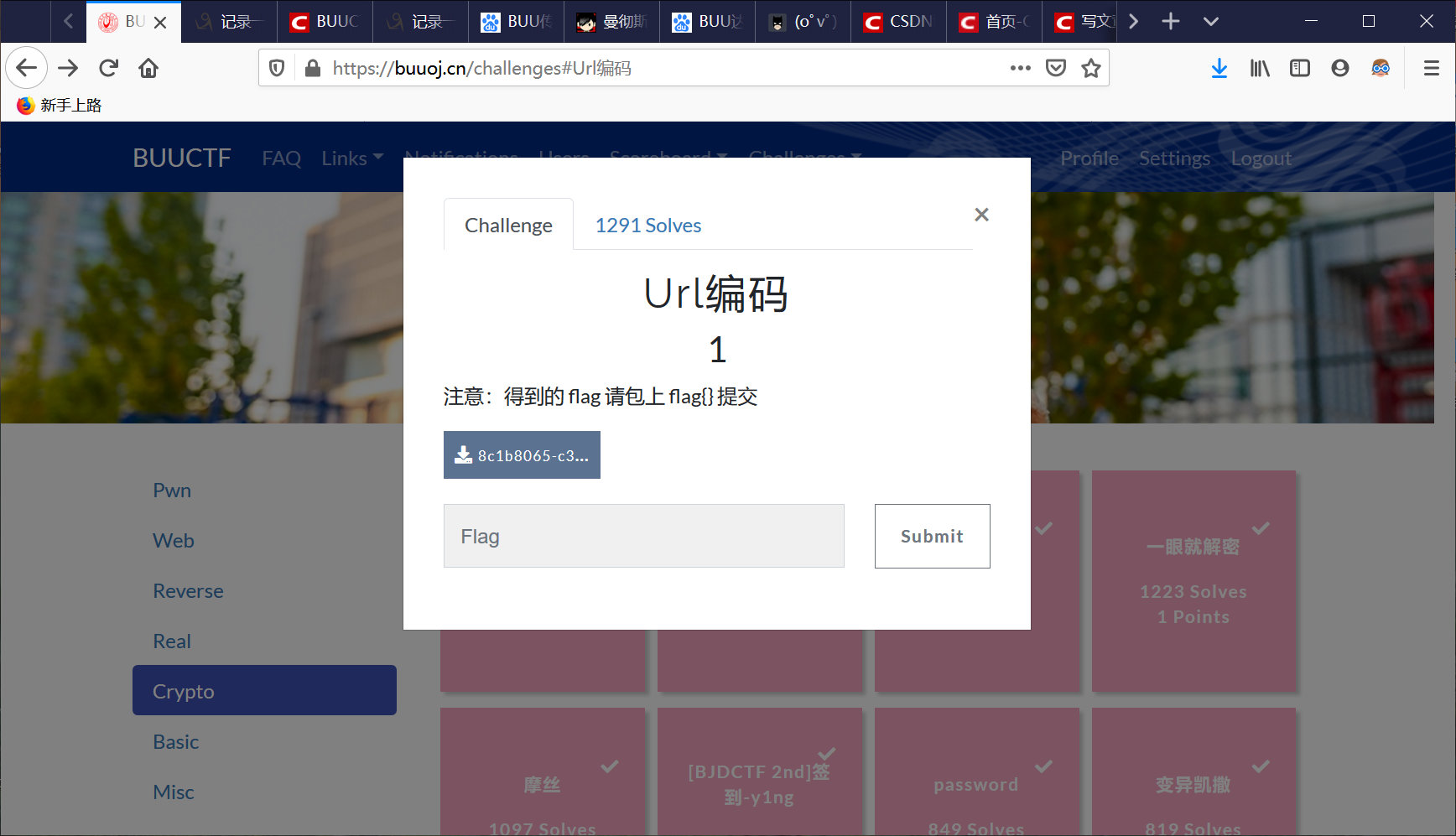 BUUCTF Url编码-CSDN博客