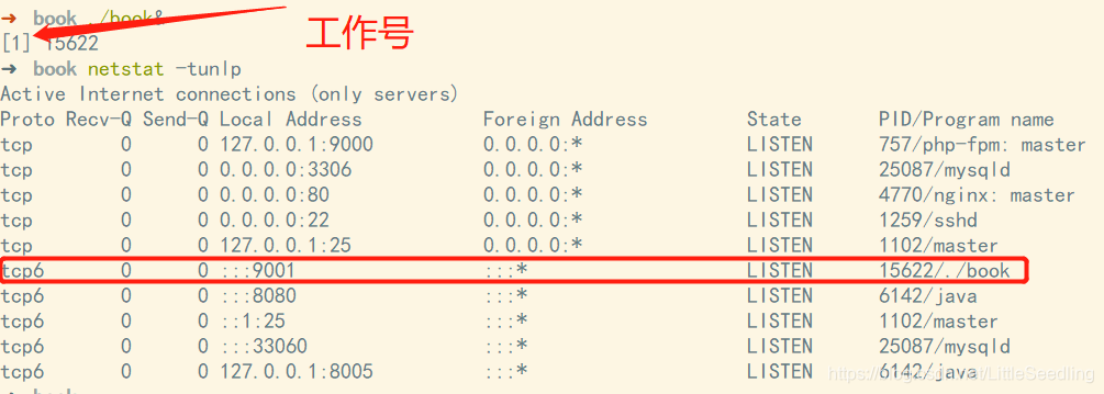 Linux安装golang并访问数据库 部署到web Linux实验 Golang Mysql部署web环境 Csdn博客