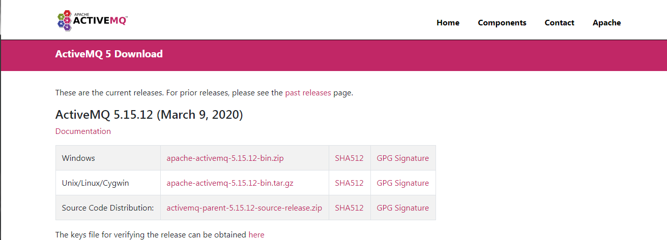ActiveMQ 下载、安装_activemq官网-CSDN博客