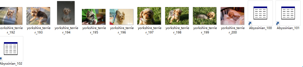 Error:Blocking queue is killed bacause the data reader raises an exception_error: blocking queue ...