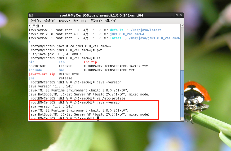 基于VMWare虚拟机搭建Linux集群_weixin_37957321的博客-CSDN博客_虚拟机 搭建 linux集群