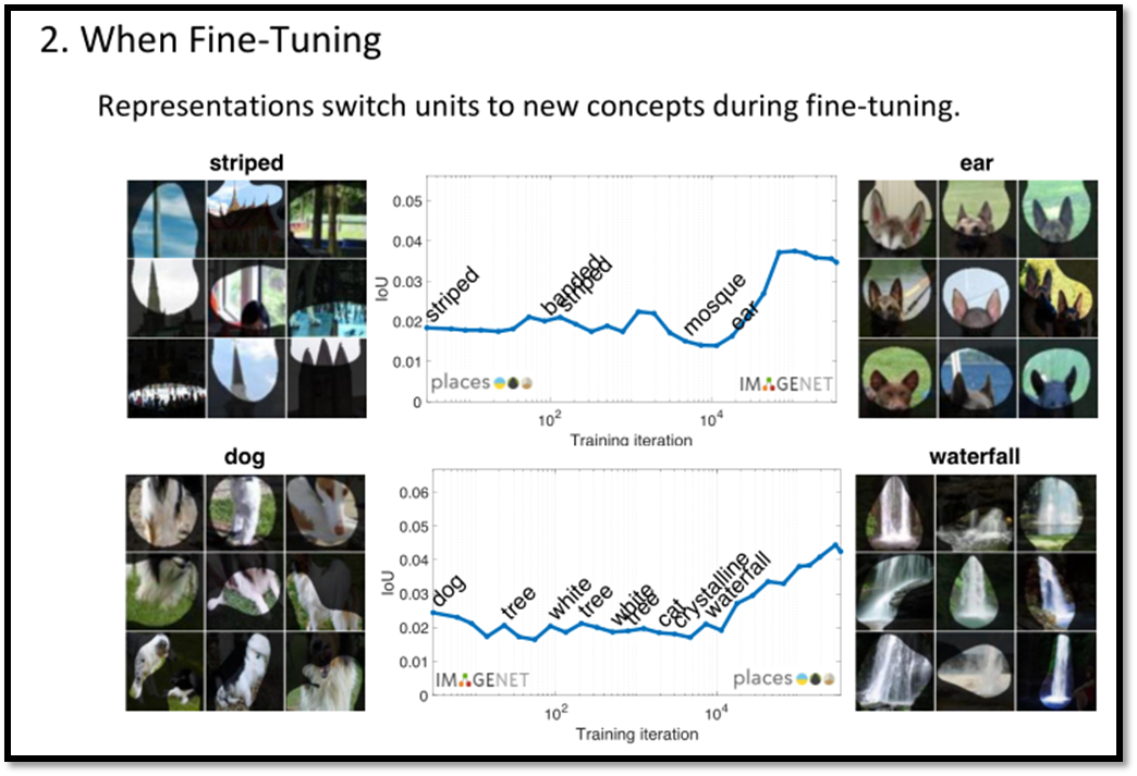 论文笔记：《Network Dissection: Quantifying Interpretability of Deep Visual Representations》-CSDN博客