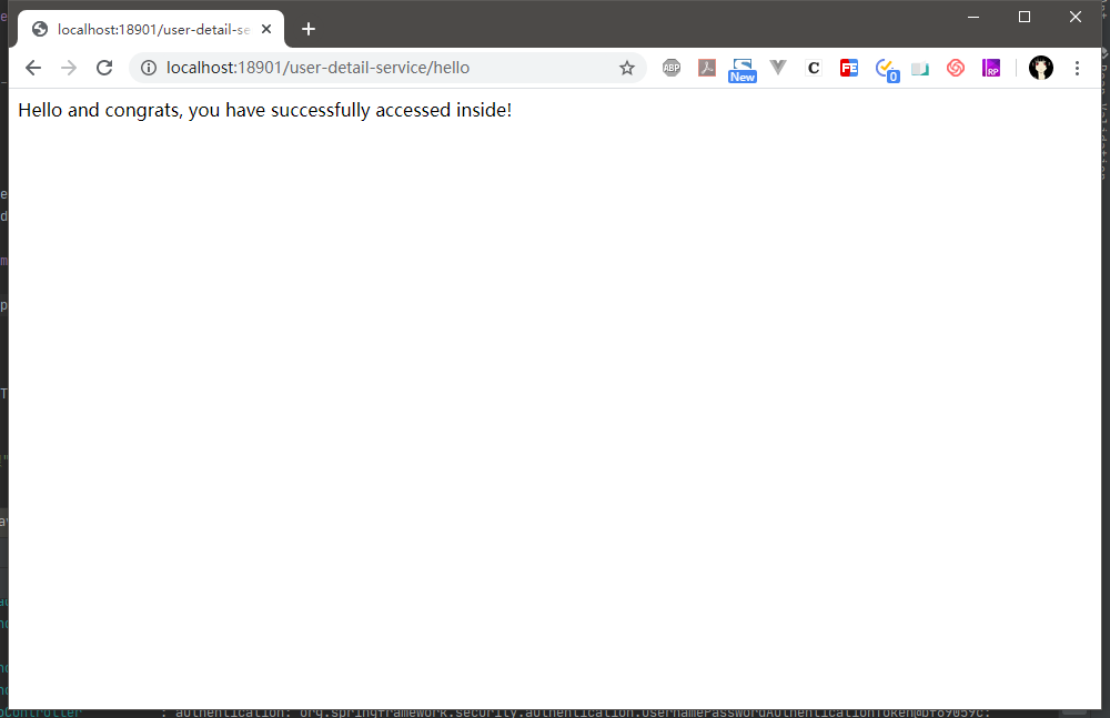 Springsecurity 2 Userdetailsservice Spring Security