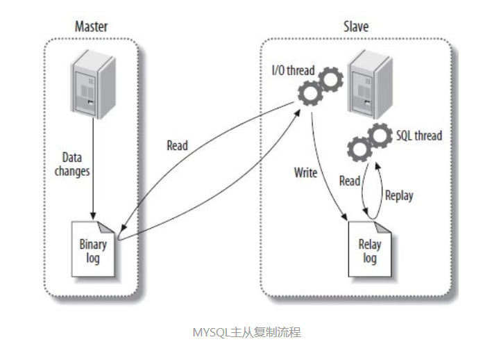 shardingsphere之sharding-proxy读写分离学习笔记_shardingproxy 实现读写分流-CSDN博客