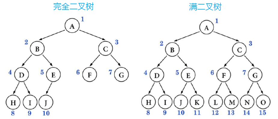 《恋上数据结构第1季》二叉树基础、真二叉树、满二叉树、完全二叉树、二叉树的遍历（重点） Csdn博客 