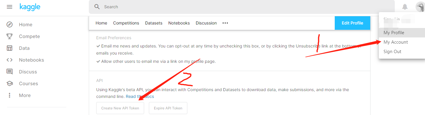 远程Linux服务器利用kaggle API下载kaggle数据集_远程服务器如何下载semantickitti数据集-CSDN博客