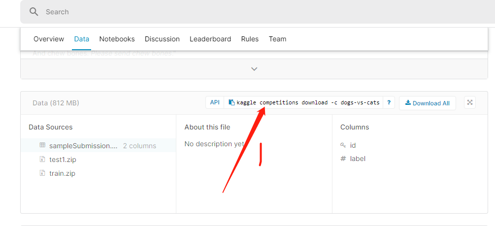 远程Linux服务器利用kaggle API下载kaggle数据集_远程服务器如何下载semantickitti数据集-CSDN博客