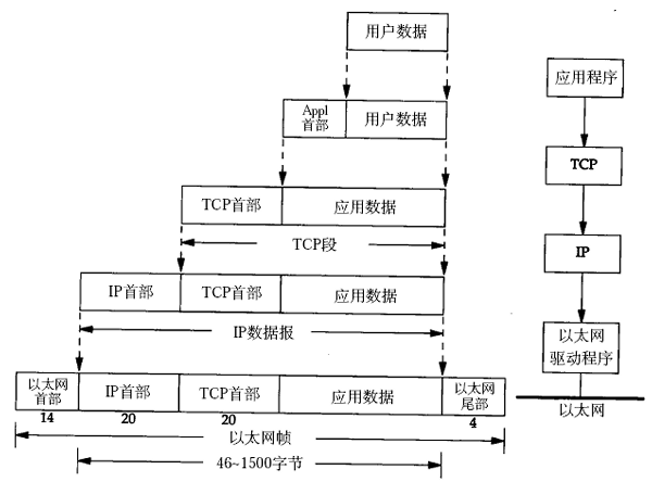 TCP/IP 各层的 数据格式（Segment，Datagram，Packet，ARP 数据包，Frame）_tcp数据包格式-CSDN博客