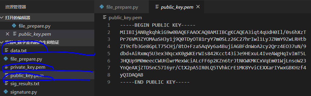 python实现RSA数字签名的产生和验证（二）_rsa数字签名python-CSDN博客