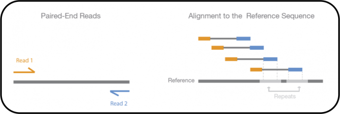 序列回帖与multi-mapped reads的处理_mapped reads%-CSDN博客