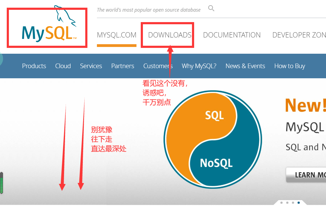 安装MySQL+sqlyog编译器_sqlyog更改编译器-CSDN博客