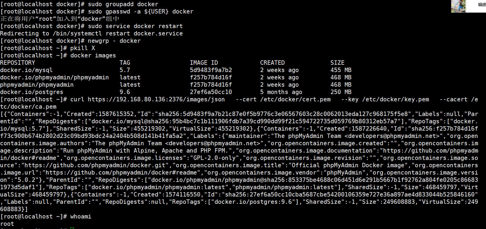使用 docker-client 对docker Engine 进行调用-CSDN博客