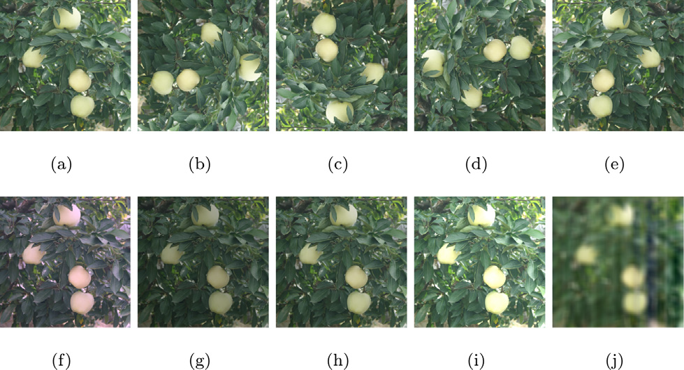 Apple detection during different growth stages in orchards using the ...