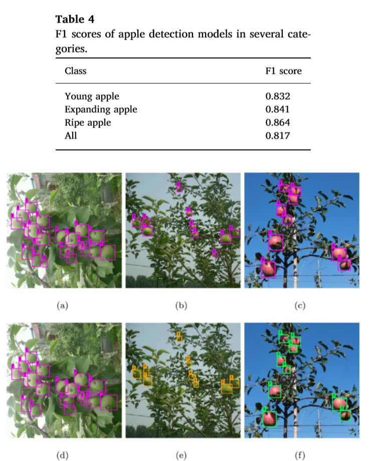 Apple detection during different growth stages in orchards using the ...