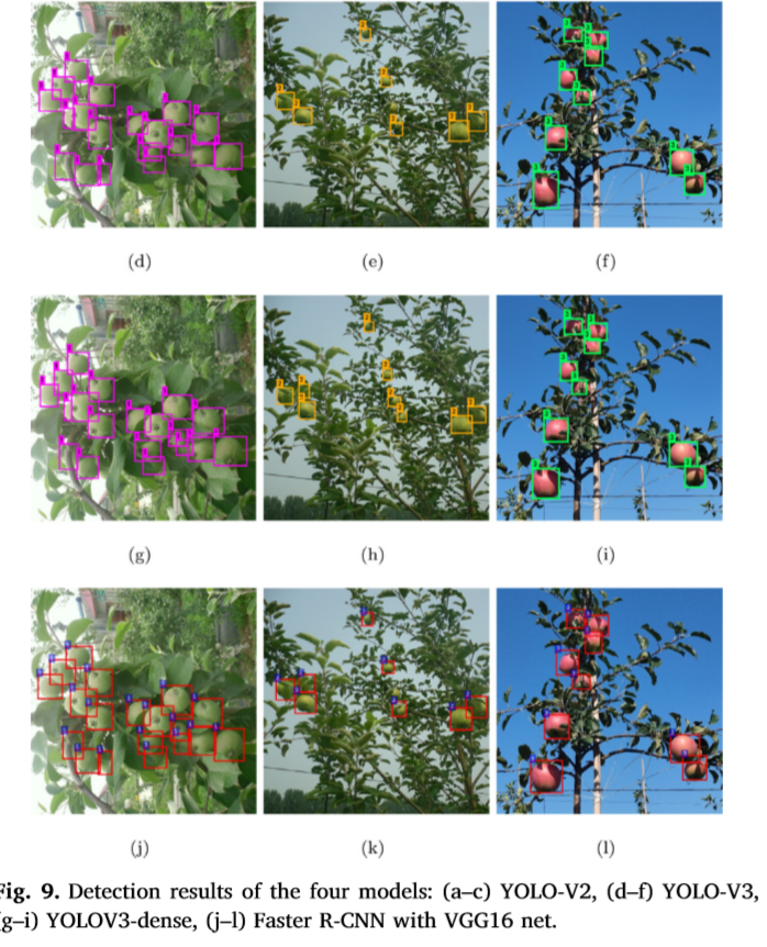 Apple detection during different growth stages in orchards using the improved YOLO-V3 model（翻译详解 ...