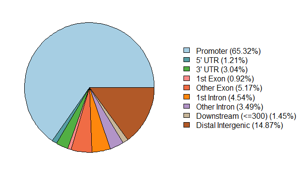 ChIP-seq(2):ChIP-seq peaks可视化（Rstudio） 学习笔记_leo12354的博客-CSDN博客_chipseq可视化