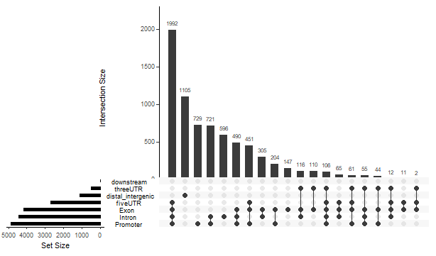 ChIP-seq(2):ChIP-seq peaks可视化（Rstudio） 学习笔记_leo12354的博客-CSDN博客_chipseq可视化