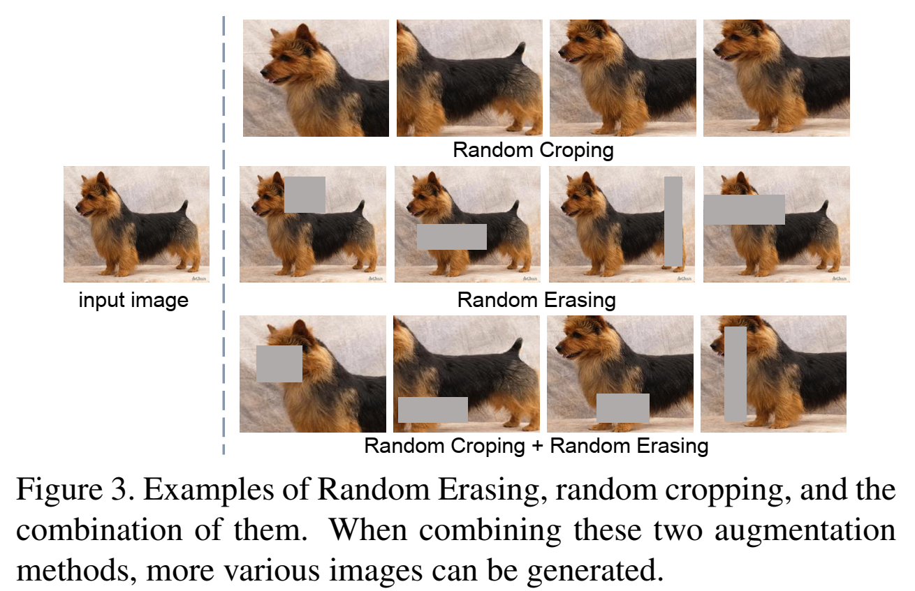【数据增强】Random Erasing_ire random erasing-CSDN博客