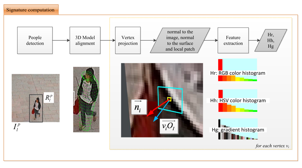 3D Body Model --- 史上最全总结-CSDN博客