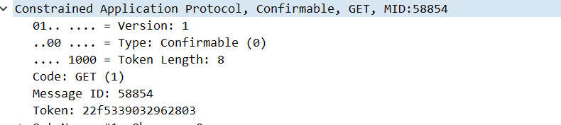 使用WireShake抓取CoAP协议数据包_coap协议抓包验证-CSDN博客
