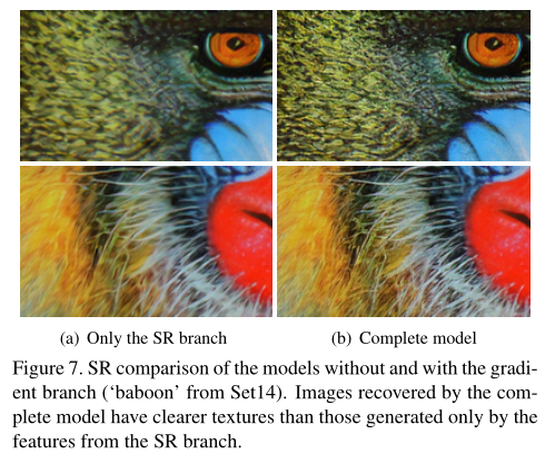 Structure-Preserving Super Resolution with Gradient Guidance 译文SPSR-CSDN博客