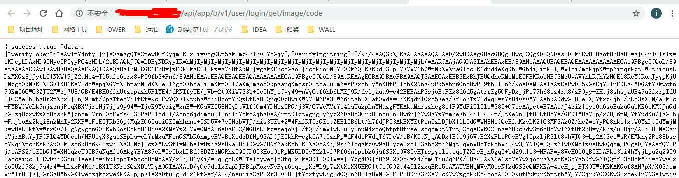 nginx 反向代码后，验证码不显示_nginx代理图片验证码不显示-CSDN博客