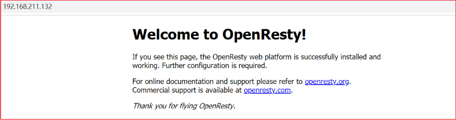使用OpenResty进行限流的基本配置_openresty 限流-CSDN博客