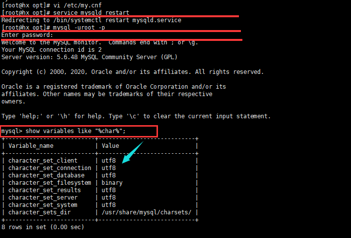 在虚拟机中 用 Xshell 安装 MySQL_mysql里怎么弄虚拟机xshell-CSDN博客