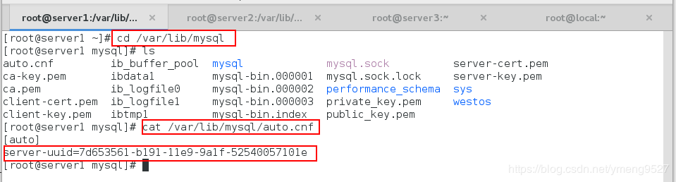 mysql数据库集群——mysql的全同步复制（组复制）_mysql开启全同步复制-CSDN博客
