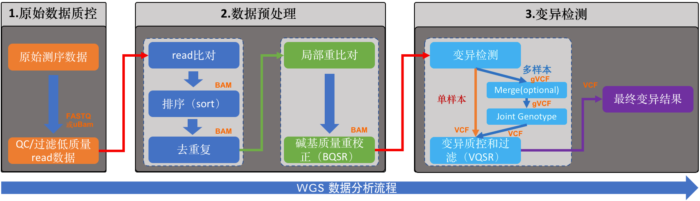 WGS（重测序）分析详解与脚本_wgs的hard filter 与vqsr-CSDN博客