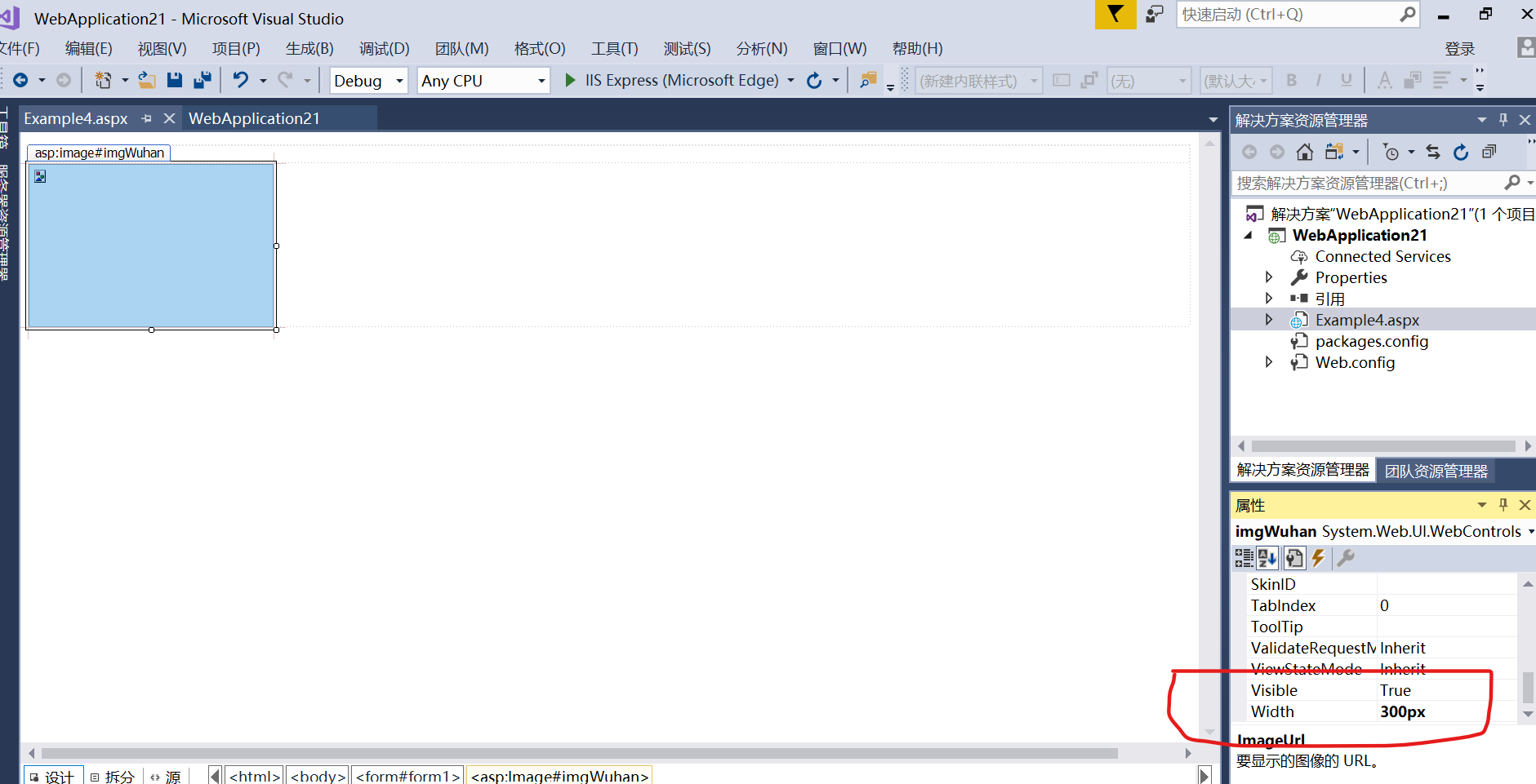 【ASP.NET】第二课——ASP.NET WebForm中的控件，掌握基本的Web服务器控件_webcontrols 中的显示控件-CSDN博客