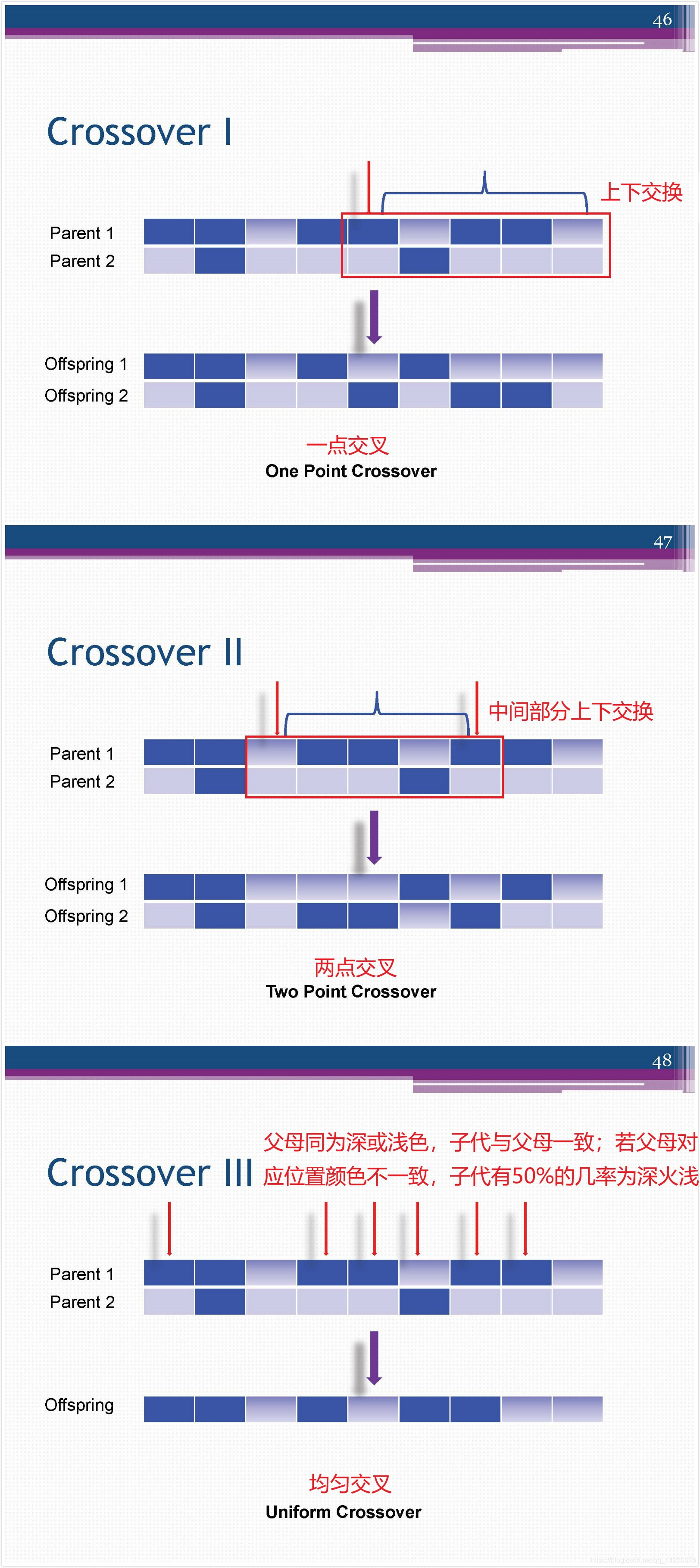 遗传算法详解及代码实现遗传算法代码 Csdn博客