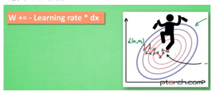 Pytorch学习——优化器_optimizer = optim.adam(model.parameters())-CSDN博客