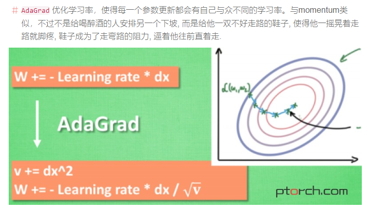 Pytorch学习——优化器_optimizer = optim.adam(model.parameters())-CSDN博客