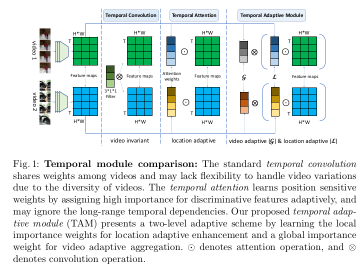 TAM: Temporal Adaptive Module for Video Recognition论文学习_tam注意力机制-CSDN博客