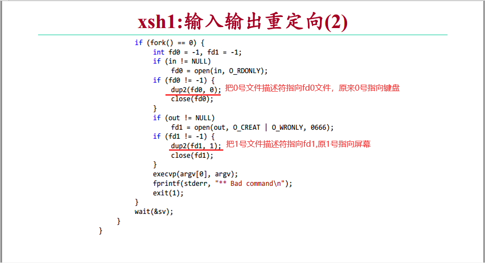 Linux——进程创建及重定向（fork,exec,wait,system,dup2）_du2 uowexec-CSDN博客